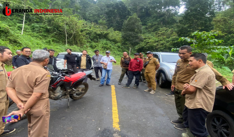 Pembangunan JLS Penghubung Banyuwangi Jember Terus Dimantapkan ...
